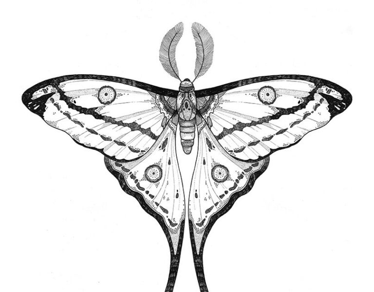 160+ Amazing Moth Tattoos Designs with Meaning (2021) - TattoosBoyGirl