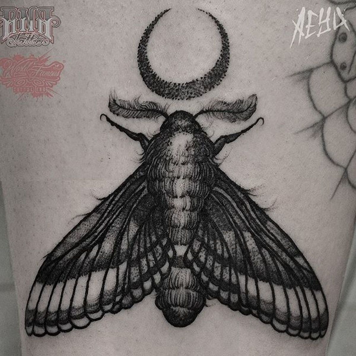 160+ Amazing Moth Tattoos Designs with Meaning (2021) - TattoosBoyGirl