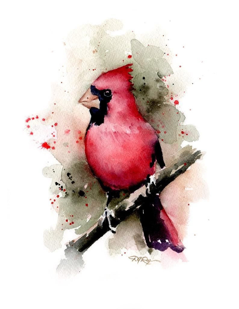 180+ Best Cardinal Tattoos Designs With Meanings (2022) - TattoosBoyGirl