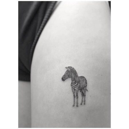 210+ Intriguing Zebra Tattoos Designs and Ideas (2022) - TattoosBoyGirl