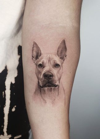 205+ Pitbull Tattoos Ideas and Designs (2023) - TattoosBoyGirl