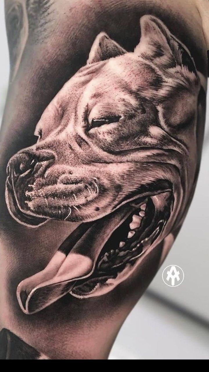 205+ Pitbull Tattoos Ideas and Designs (2023) - TattoosBoyGirl