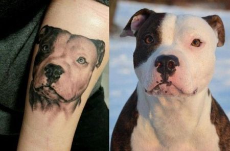205+ Pitbull Tattoos Ideas and Designs (2023) - TattoosBoyGirl