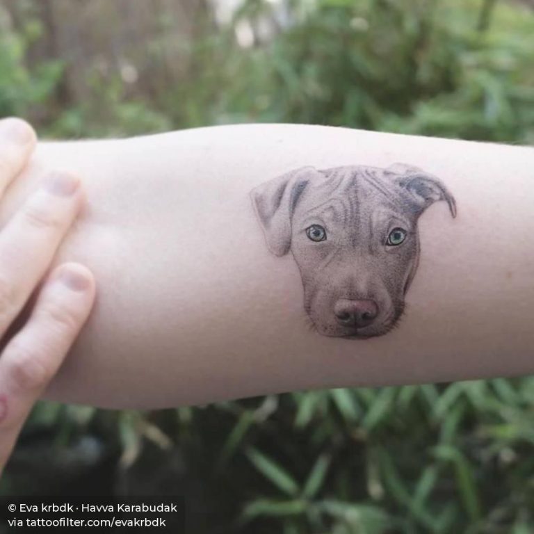 205+ Pitbull Tattoos Ideas and Designs (2023) - TattoosBoyGirl