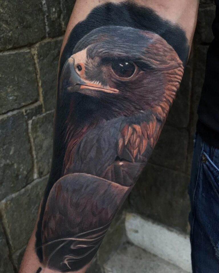 215+ Hawk Tattoos Ideas and Designs (2023) - TattoosBoyGirl