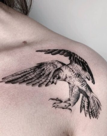 215+ Hawk Tattoos Ideas and Designs (2023) - TattoosBoyGirl