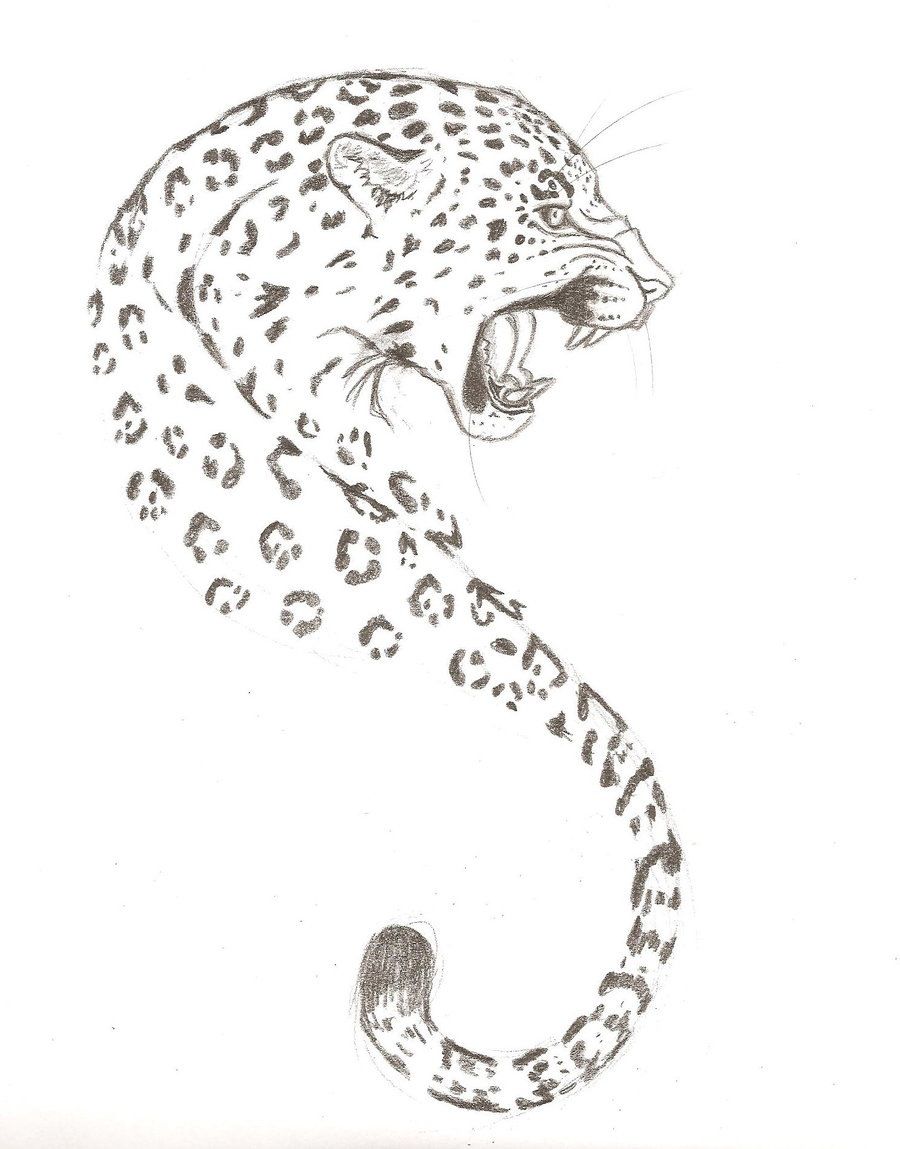 210+ Snow Leopard Tattoo Ideas (2023) - TattoosBoyGirl