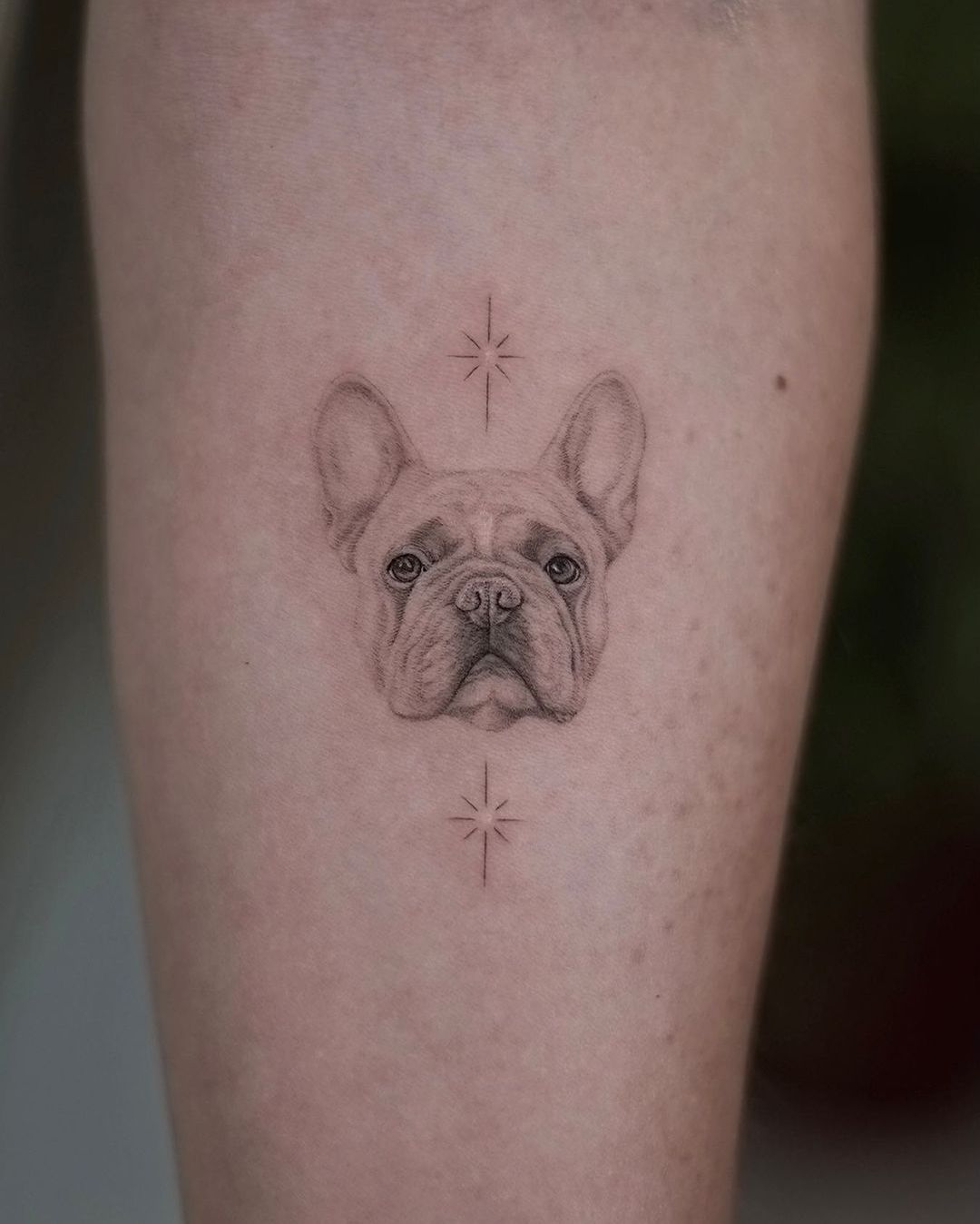 210+ Majestic Bulldog Tattoos Designs (2023) - TattoosBoyGirl