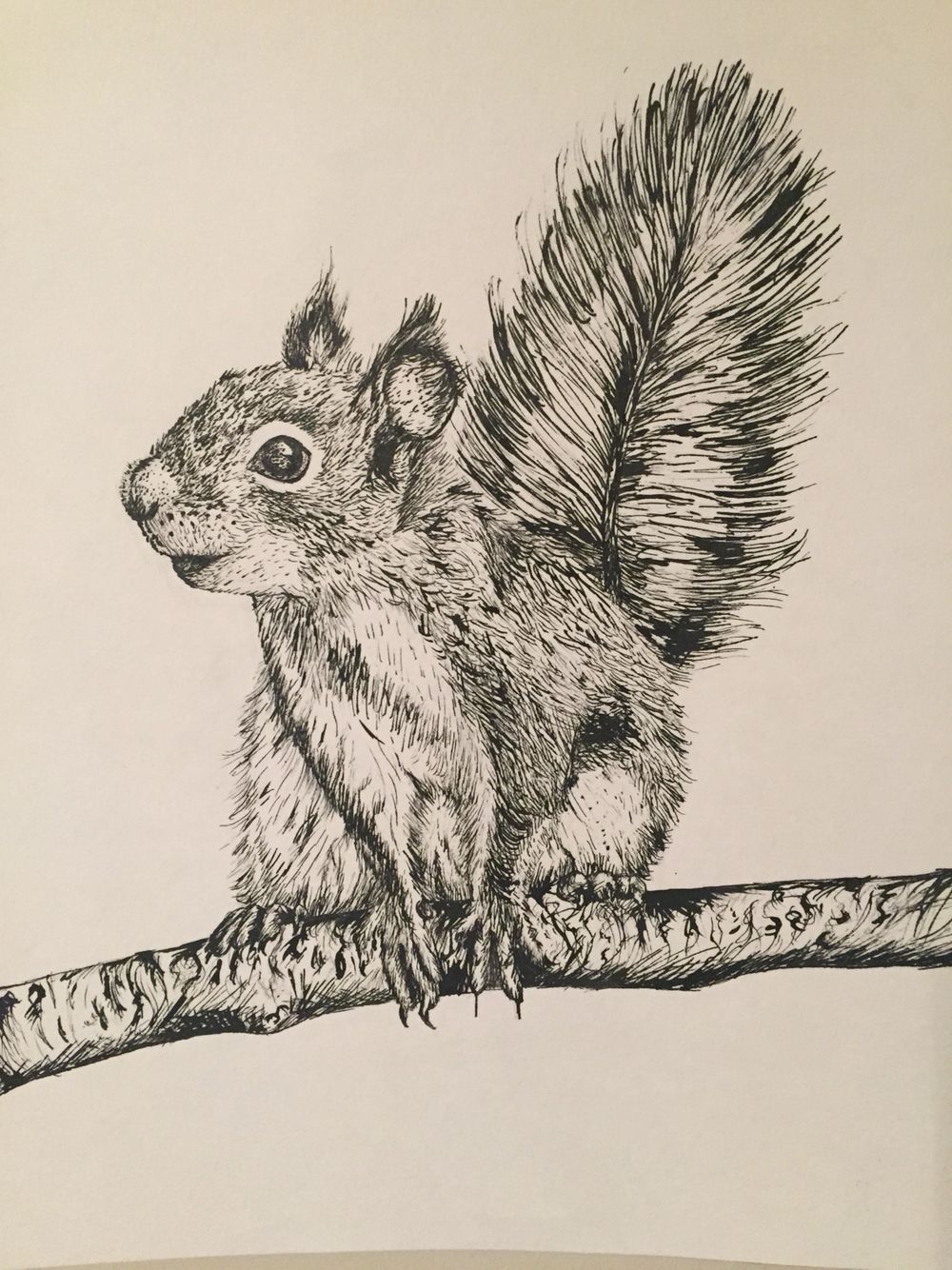215+ Cute Squirrel Tattoo Designs (2023) - TattoosBoyGirl