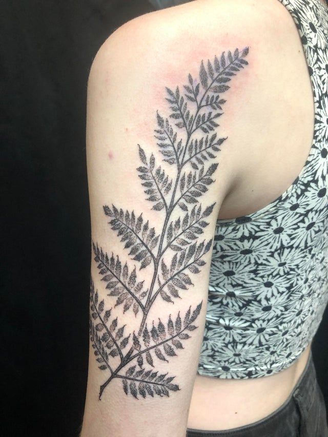 240+ Delicate Fern Tattoo Designs (2024) - TattoosBoyGirl