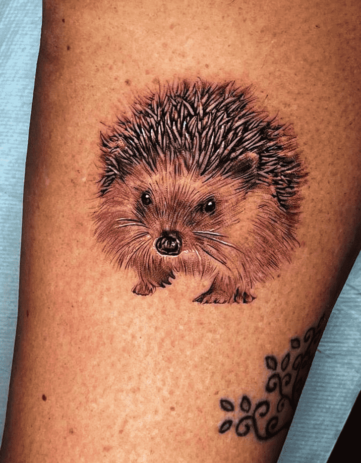 110+ Best Hedgehog Tattoo Designs and Ideas (2024) - TattoosBoyGirl