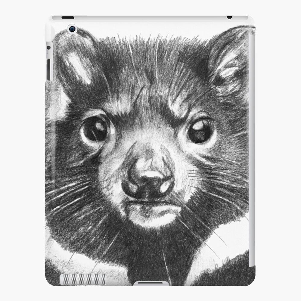 180+ Ferocious Tasmanian Devil Tattoo Ideas (2024) - TattoosBoyGirl