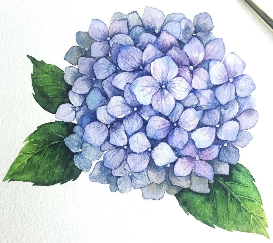 220+ Prettiest Hydrangea tattoo Designs (2024) - TattoosBoyGirl